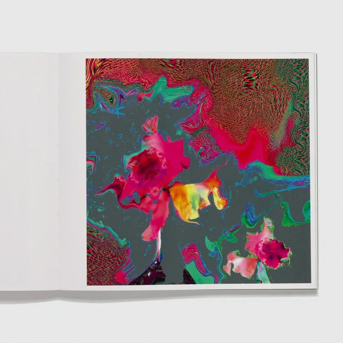 Lucas Samaras: Flowers – Open Invite